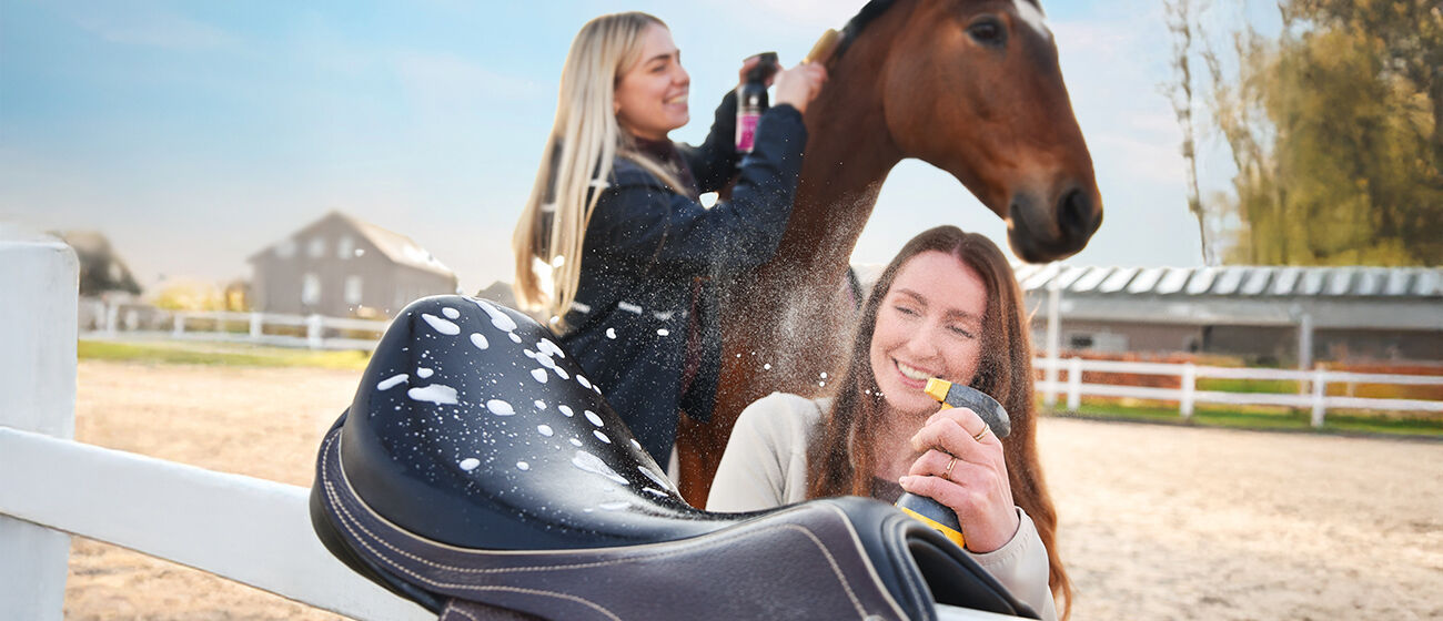 EQUIVA Onlineshop - Reitbedarf & Zubehör für den Reitsport