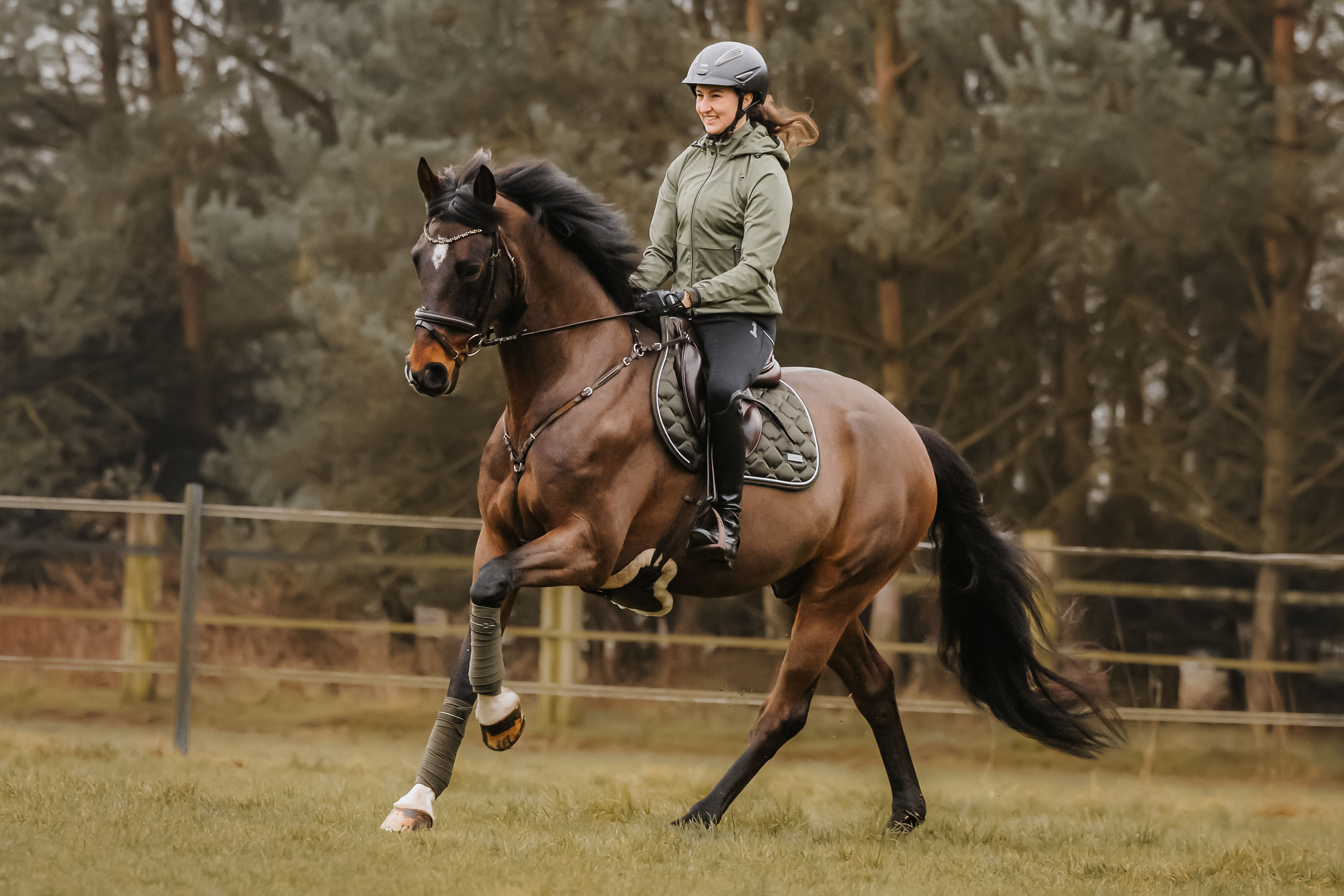 EQUIVA Onlineshop - Reitbedarf & Zubehör für den Reitsport