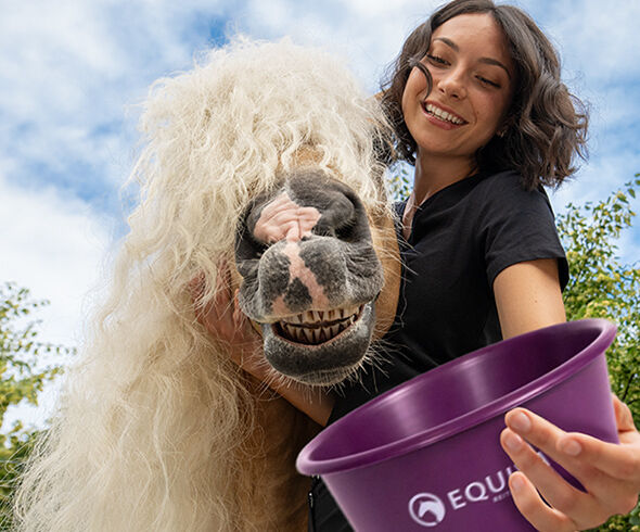 EQUIVA Onlineshop - Reitbedarf & Zubehör für den Reitsport